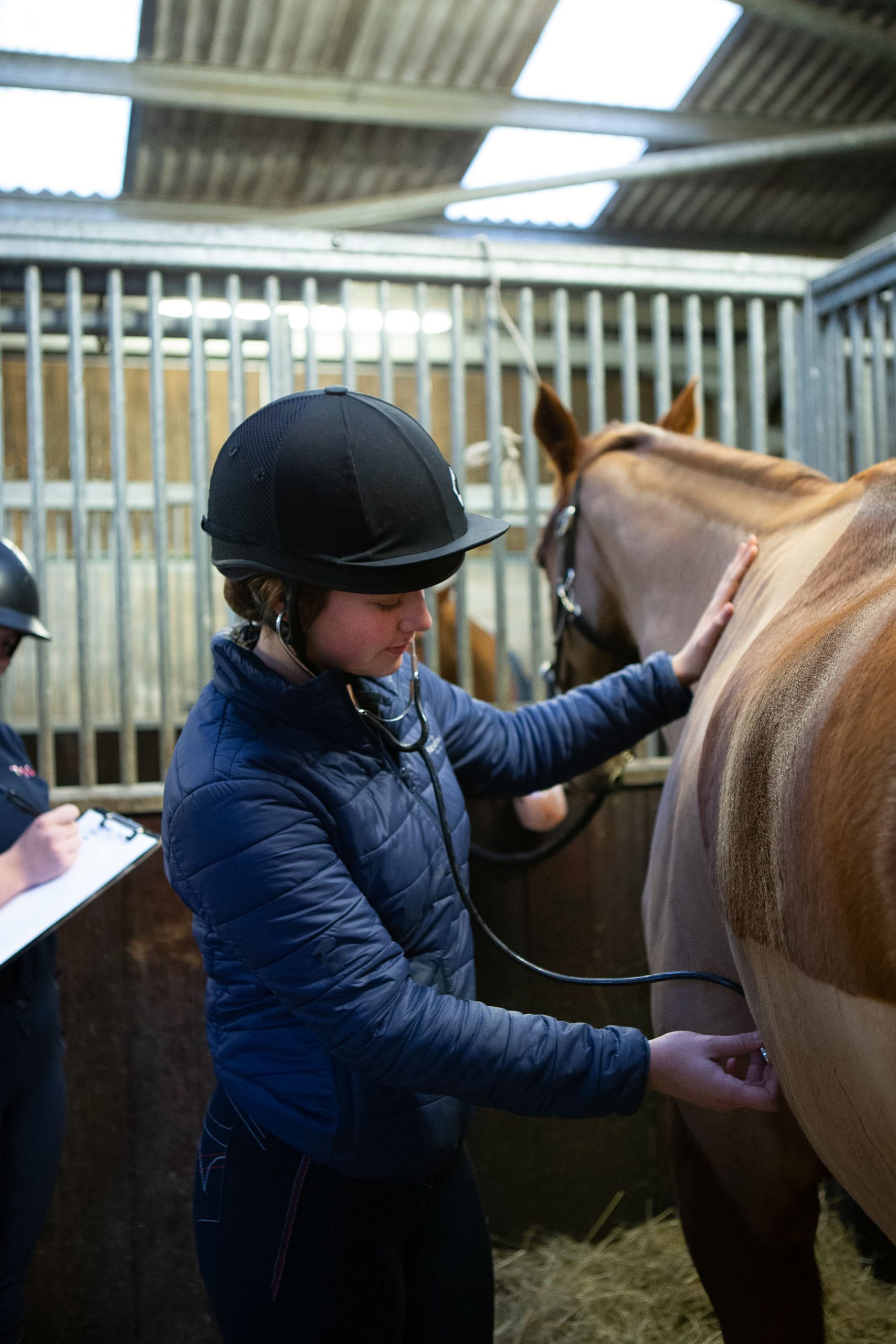 Askham Bryan College
