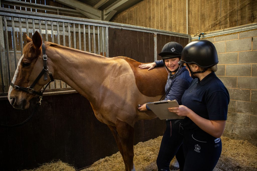 Equine Study | Askham Bryan College