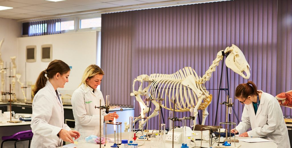 Equestrian College in York - Equine Studies | Askham Bryan