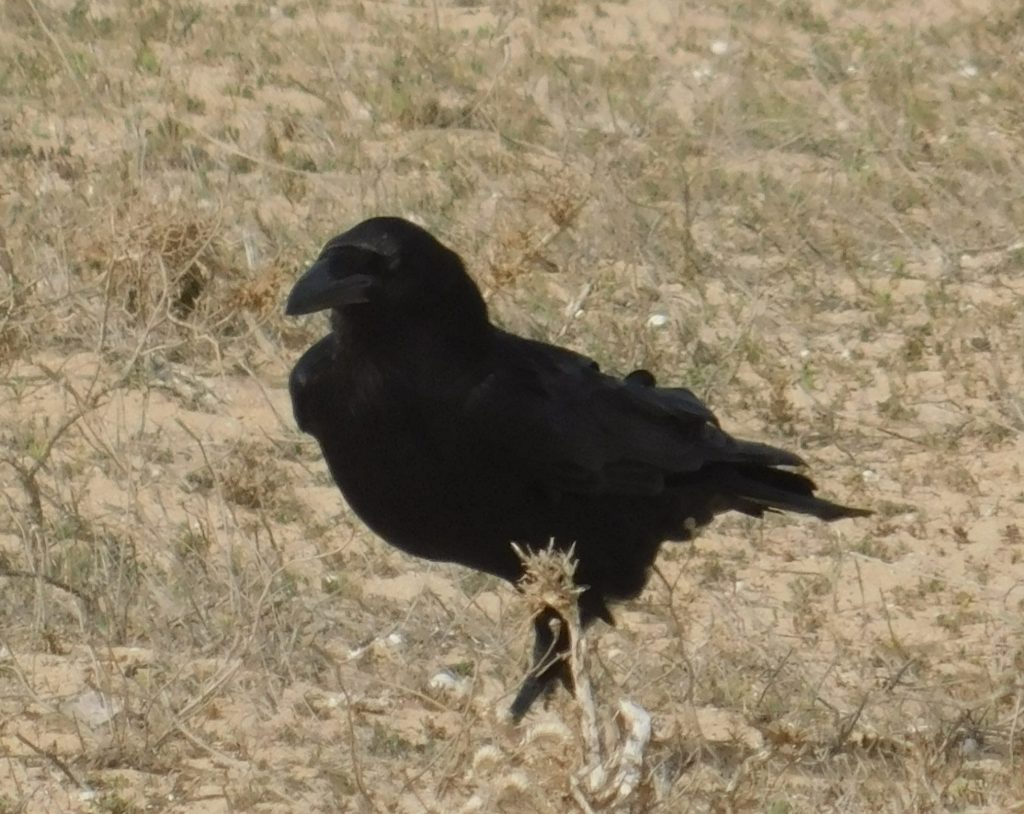 Innovative Research: Advancing Knowledge and Solutions