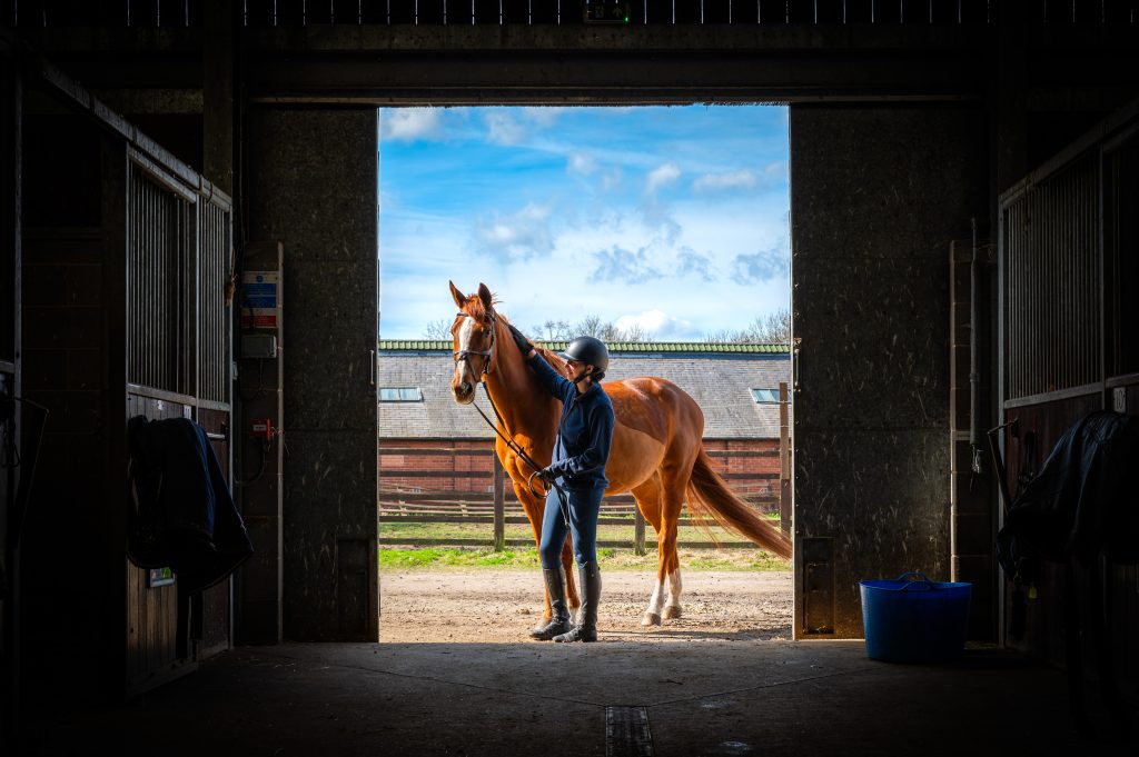 Equestrian College in York - Equine Studies | Askham Bryan