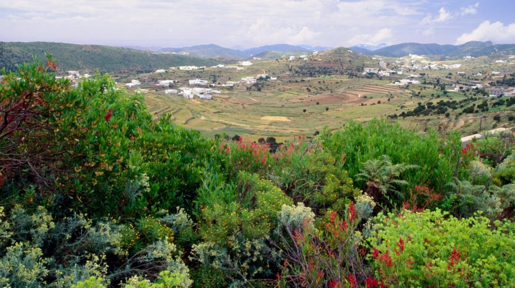 Soudah Development - Okana